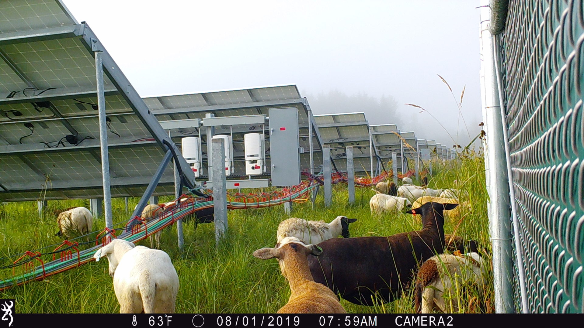 Monthly Webinars - American Solar Grazing Association