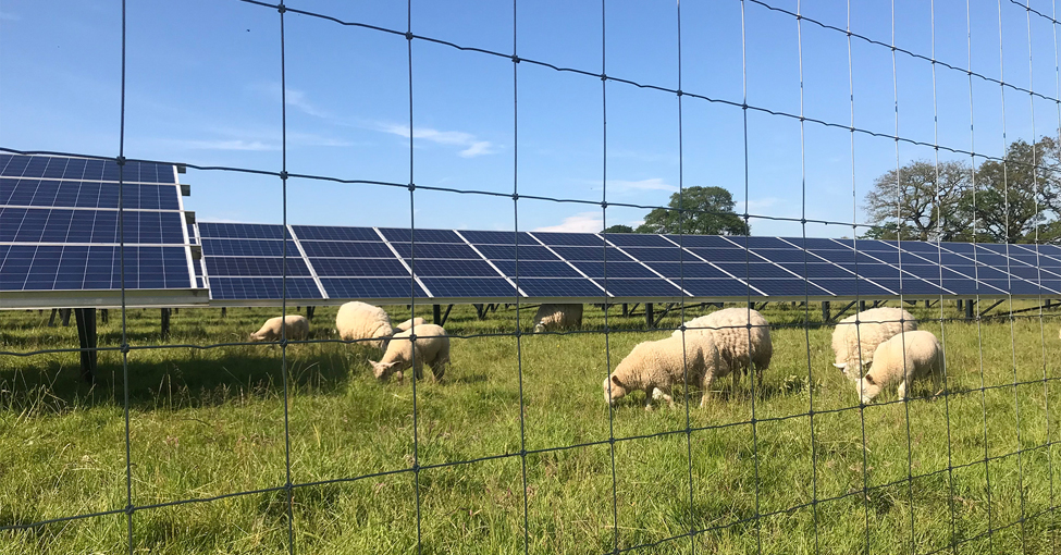 Michigan State: Well Managed Land Can Do Both - American Solar Grazing ...