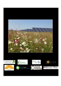 Effects of Solar Farms on Local Biodiversity - American Solar Grazing ...