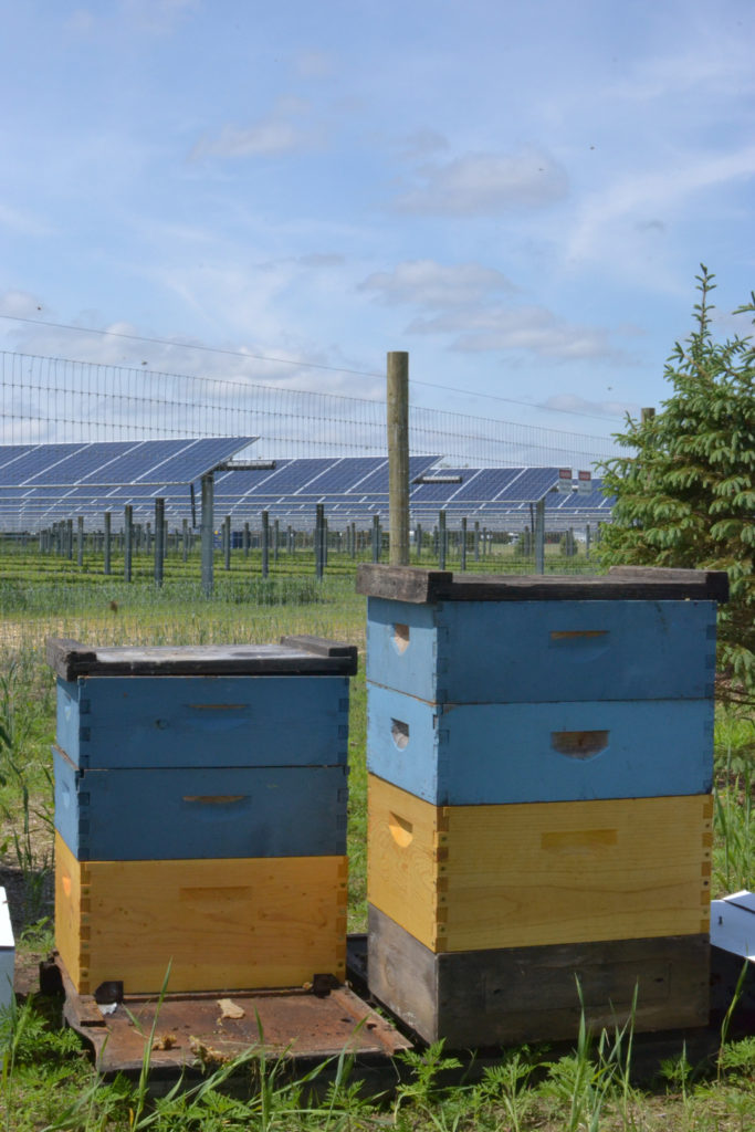 Solar Beekeeping Contract - American Solar Grazing Association