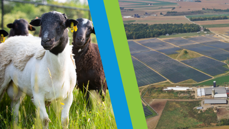 Home - American Solar Grazing Association