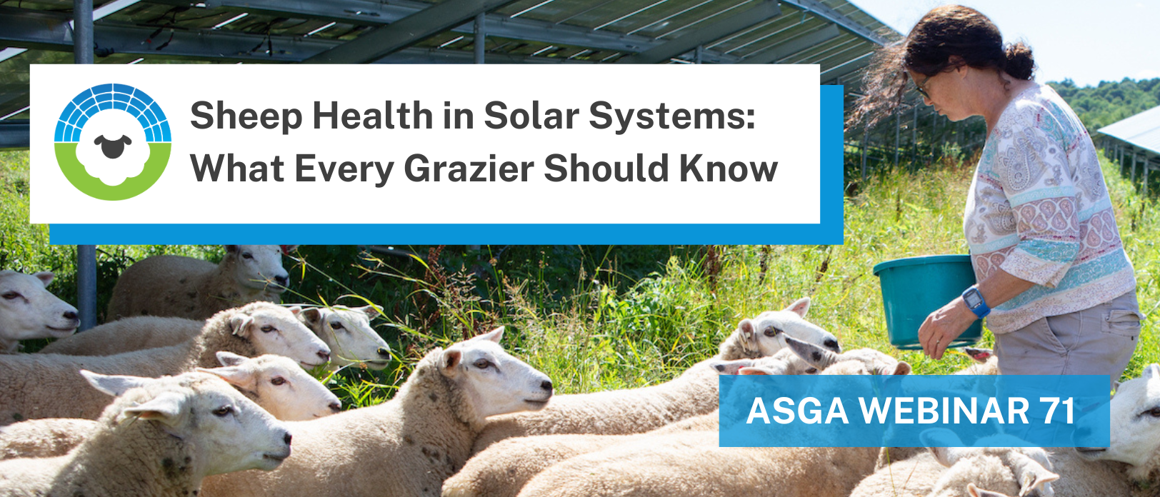ASGA Call 71 Replay: What You Need to Know About Sheep Health in Solar ...