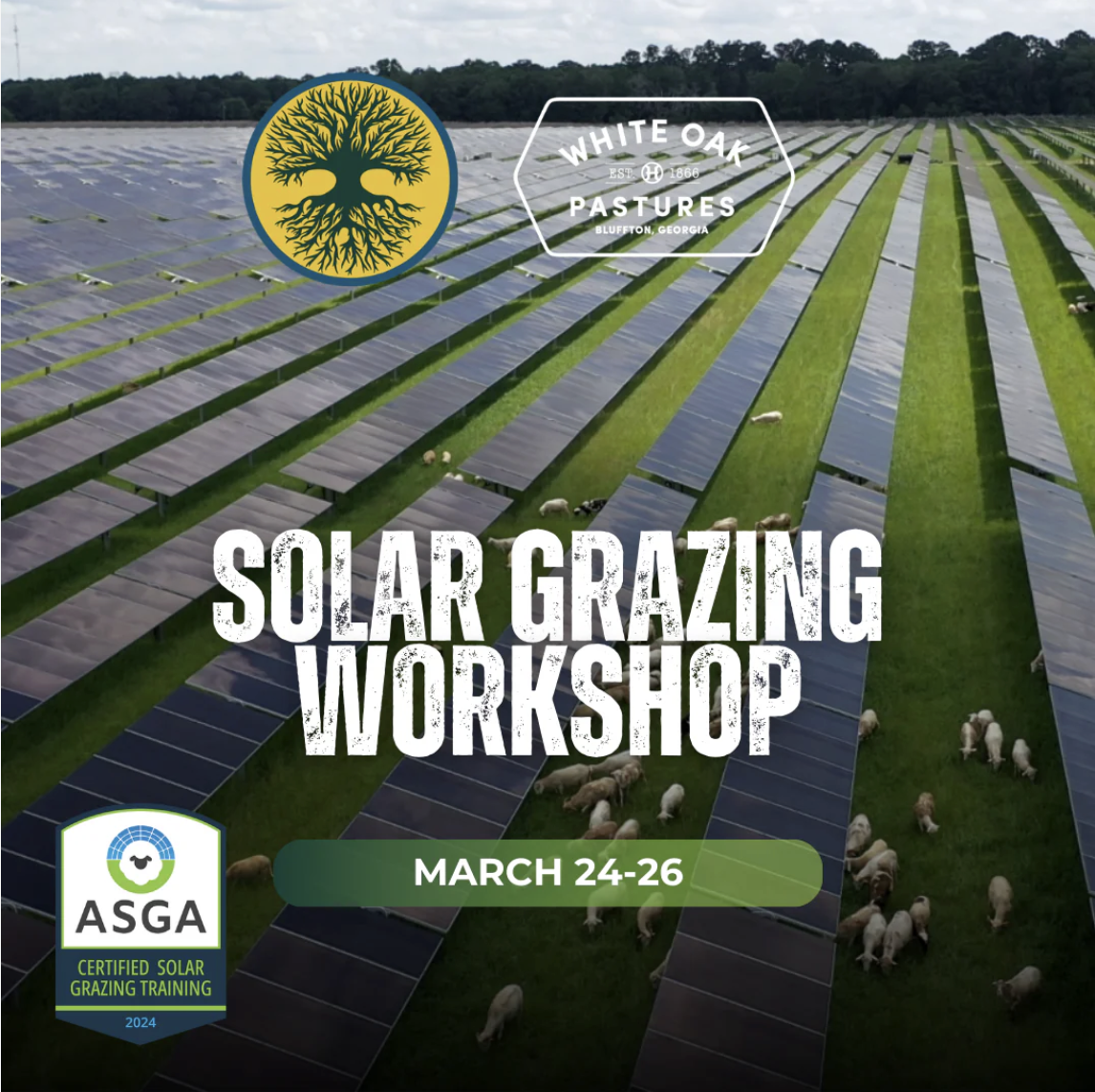 CFAR Solar Grazing Workshop: March 2025 - American Solar Grazing ...