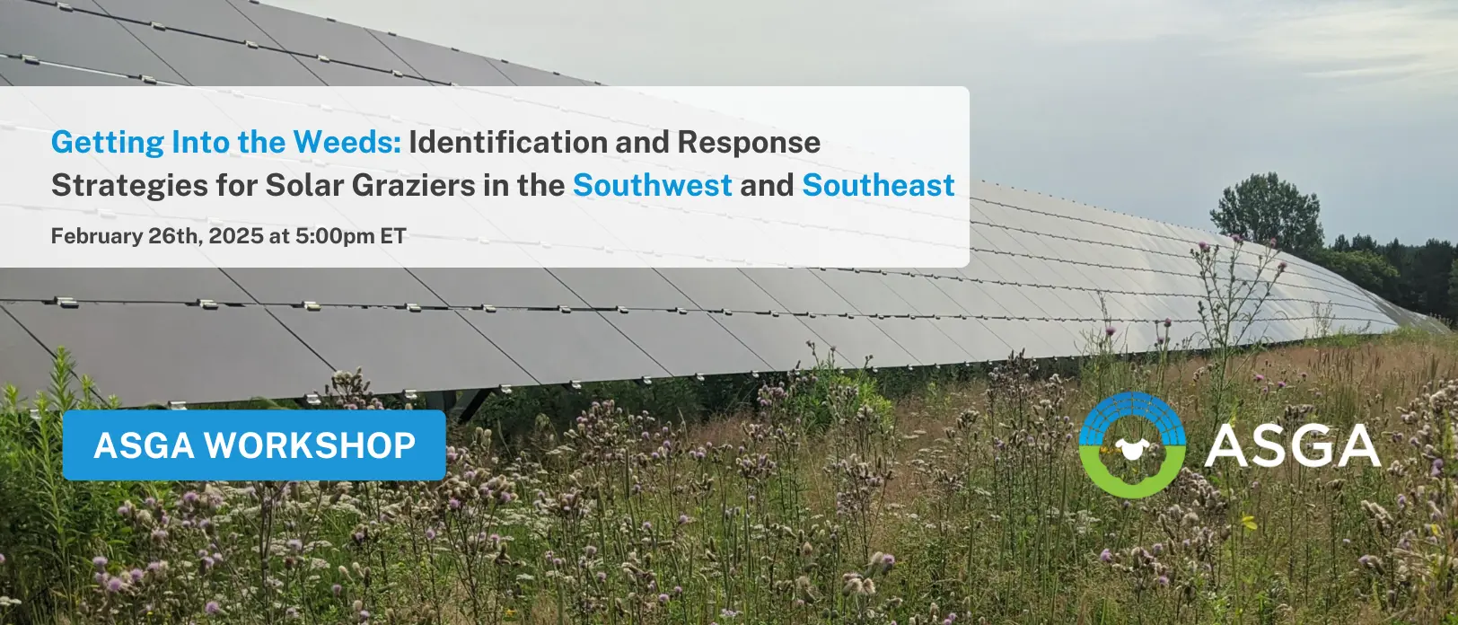 Getting Into the Weeds Part 2: Identification and Response Strategies ...