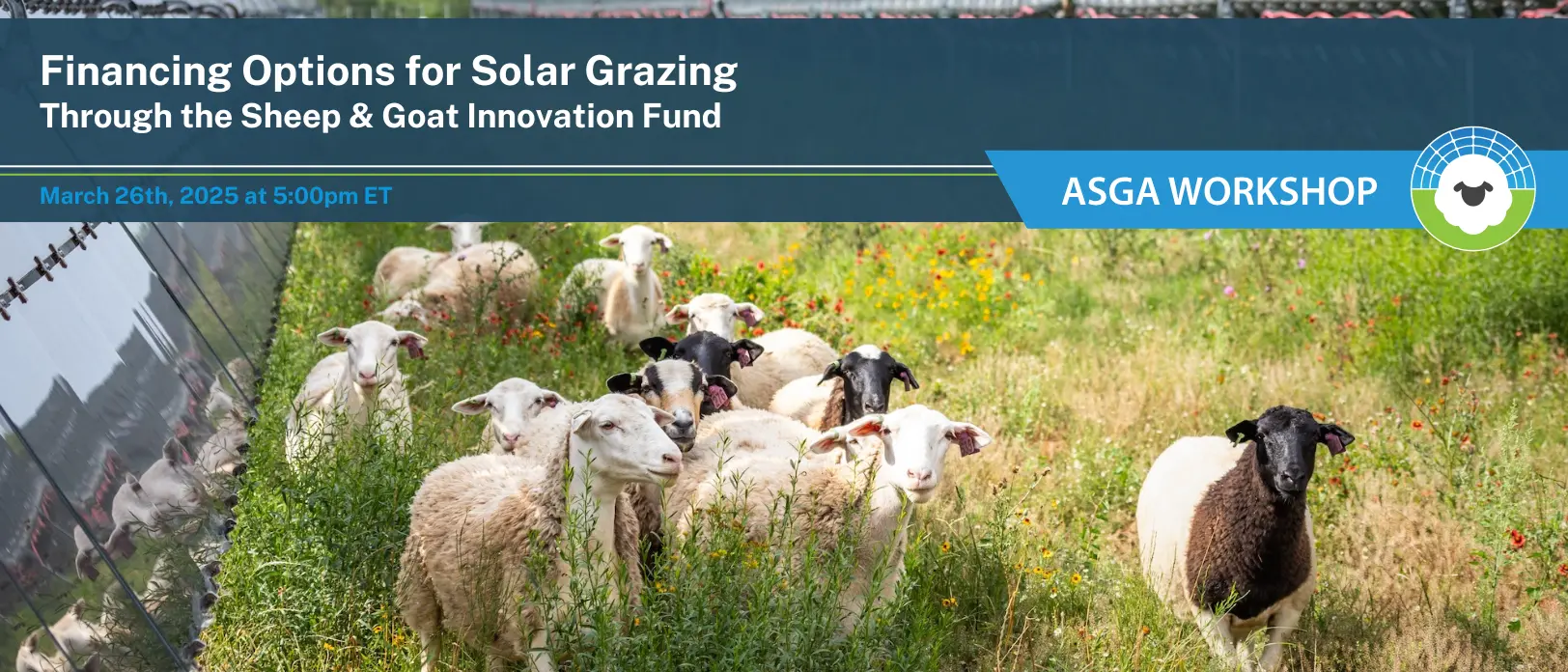 ASGA Workshop: Financing Options for Solar Grazing Through the Sheep ...