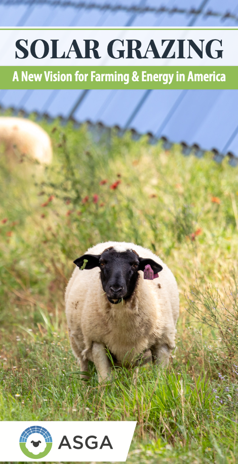 What and Why - American Solar Grazing Association