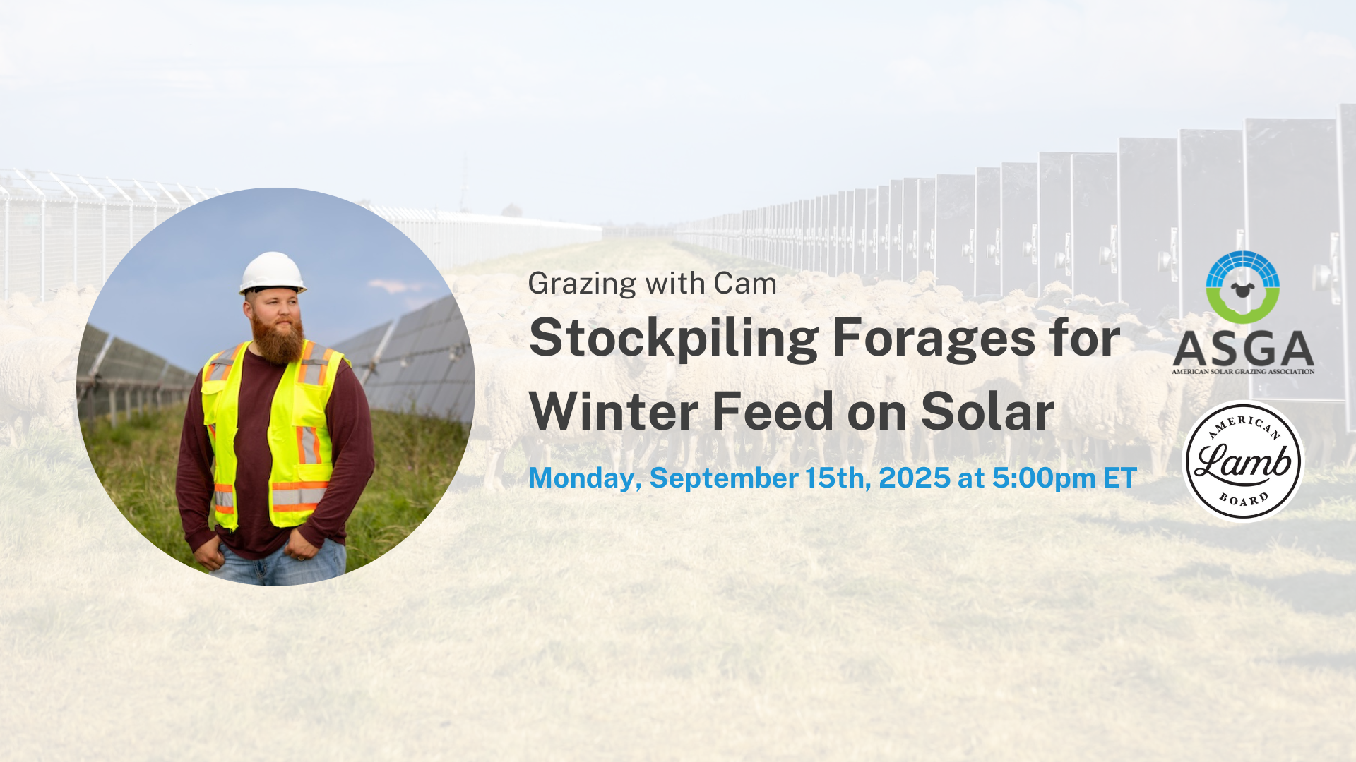 Stockpiling Forages for Winter Feed on Solar - American Solar Grazing ...