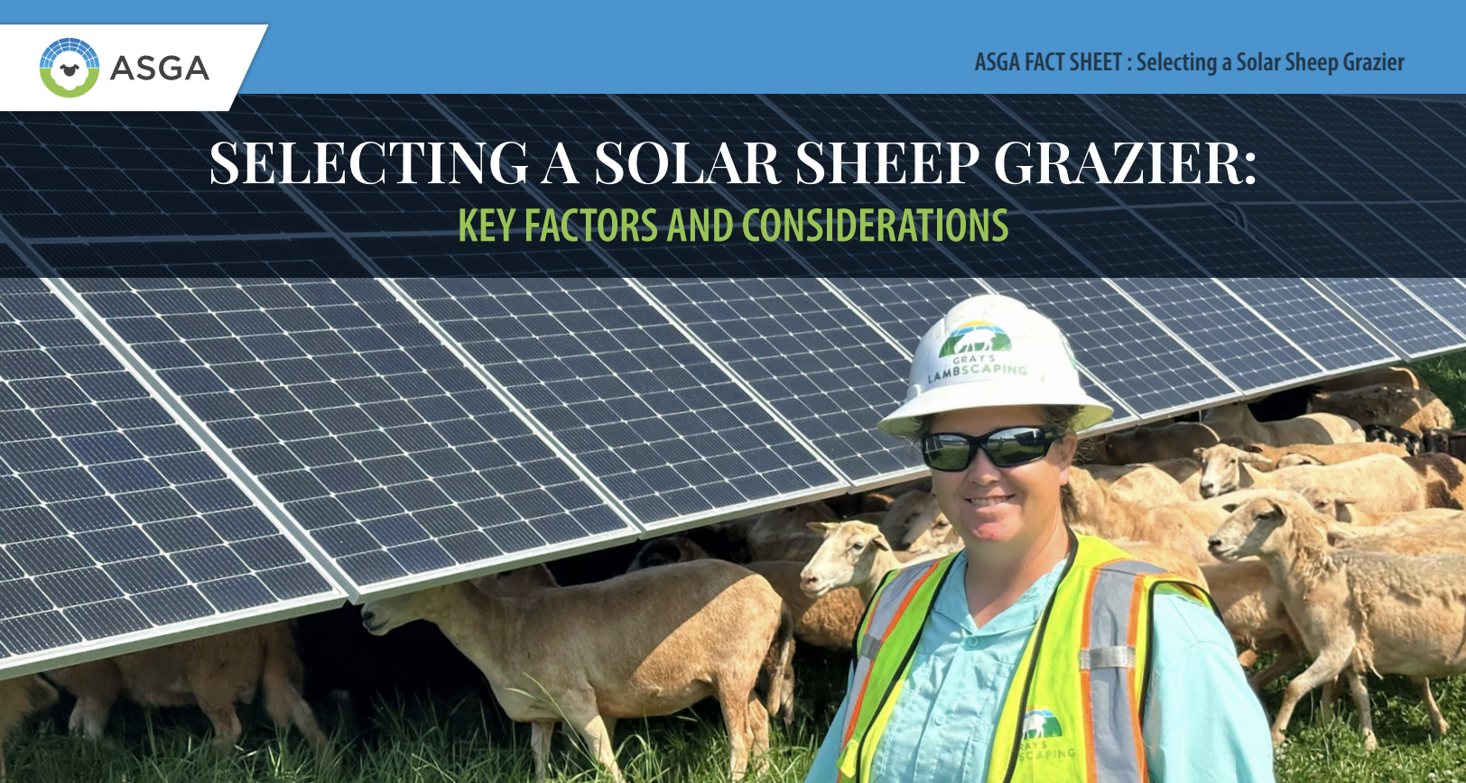 Selecting a Solar Sheep Grazier: Key Factors and Considerations ...
