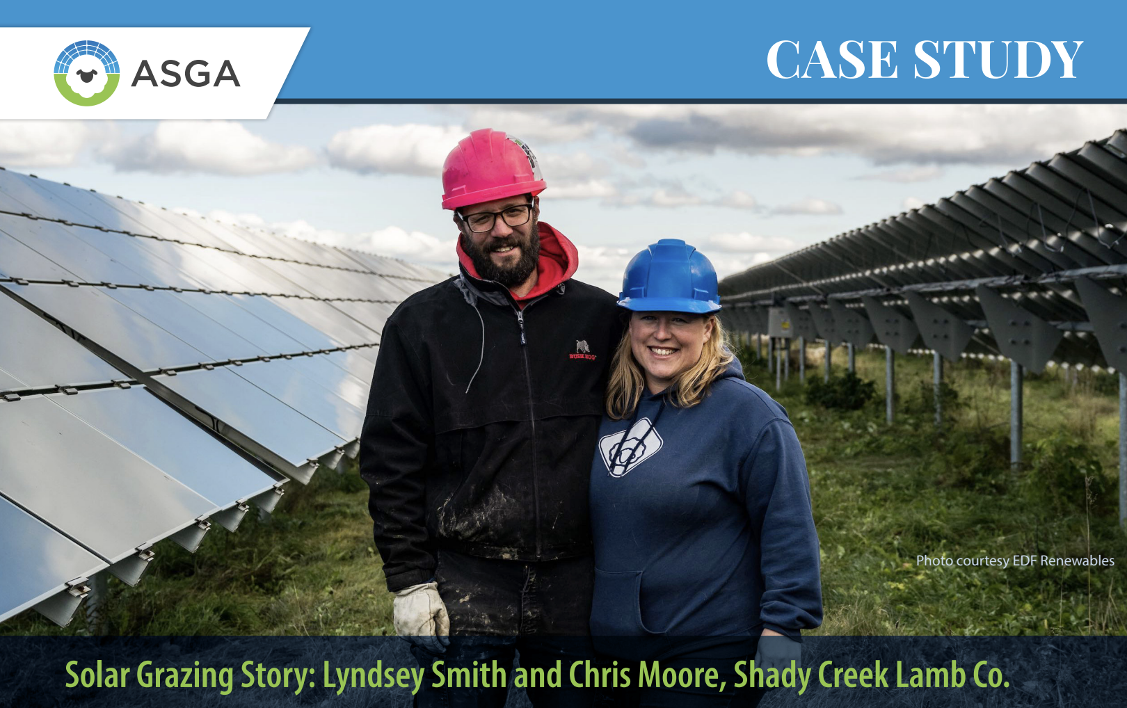 Solar Grazing Story: Lyndsey Smith and Chris Moore, Shady Creek Lamb Co ...