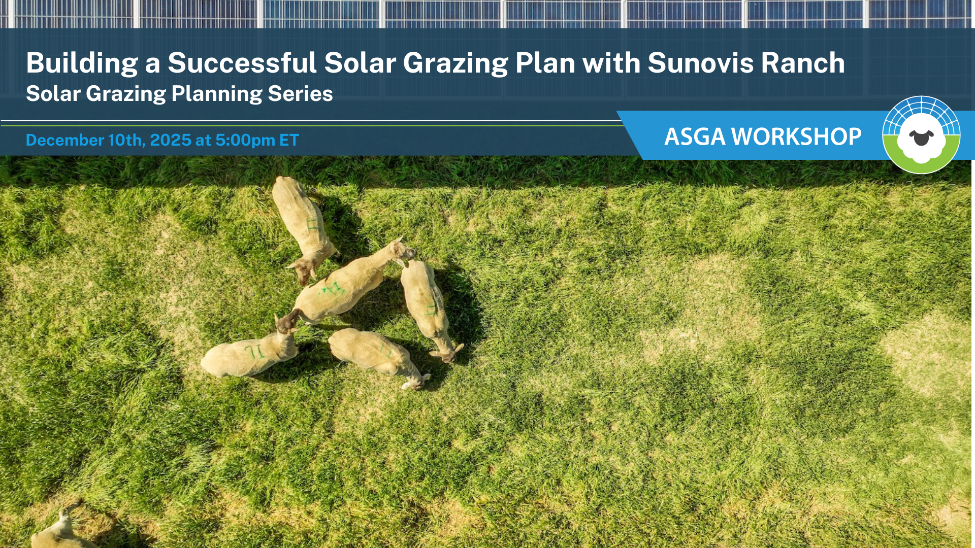 Building a Successful Solar Grazing Plan with Sunovis Ranch - American ...